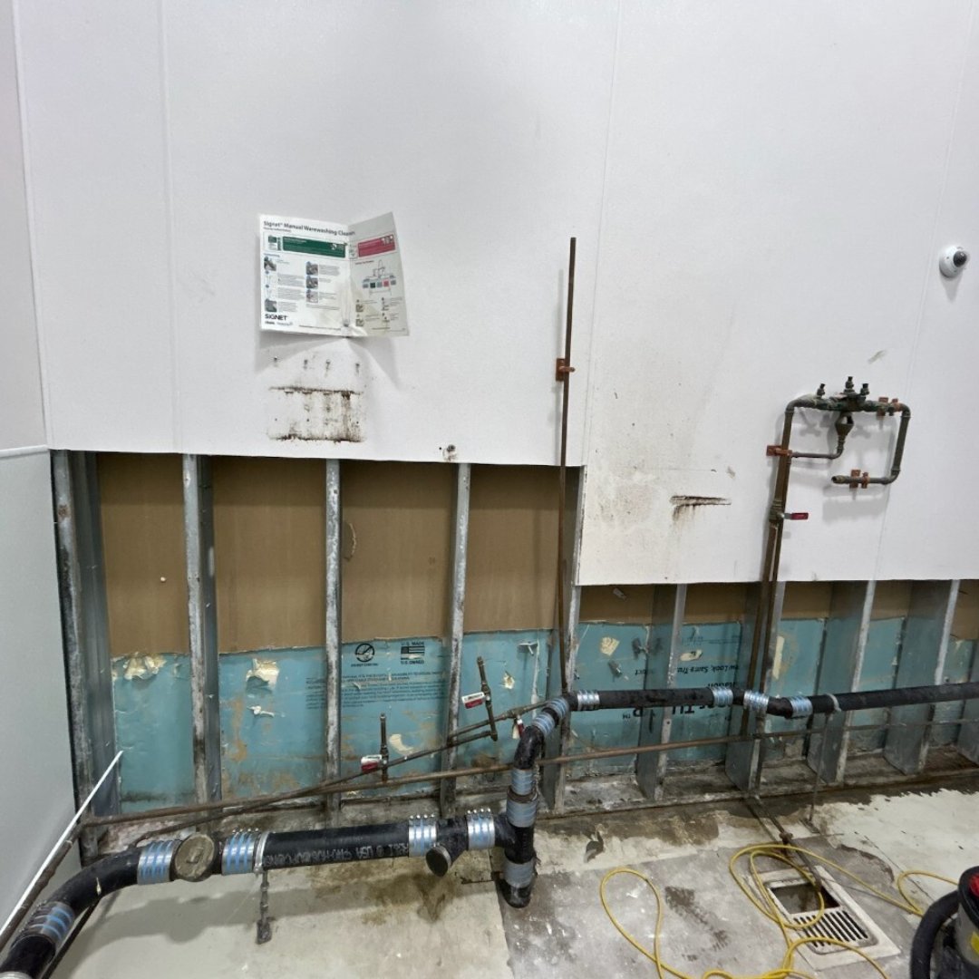 Mold Remediation in New Bedford, MA