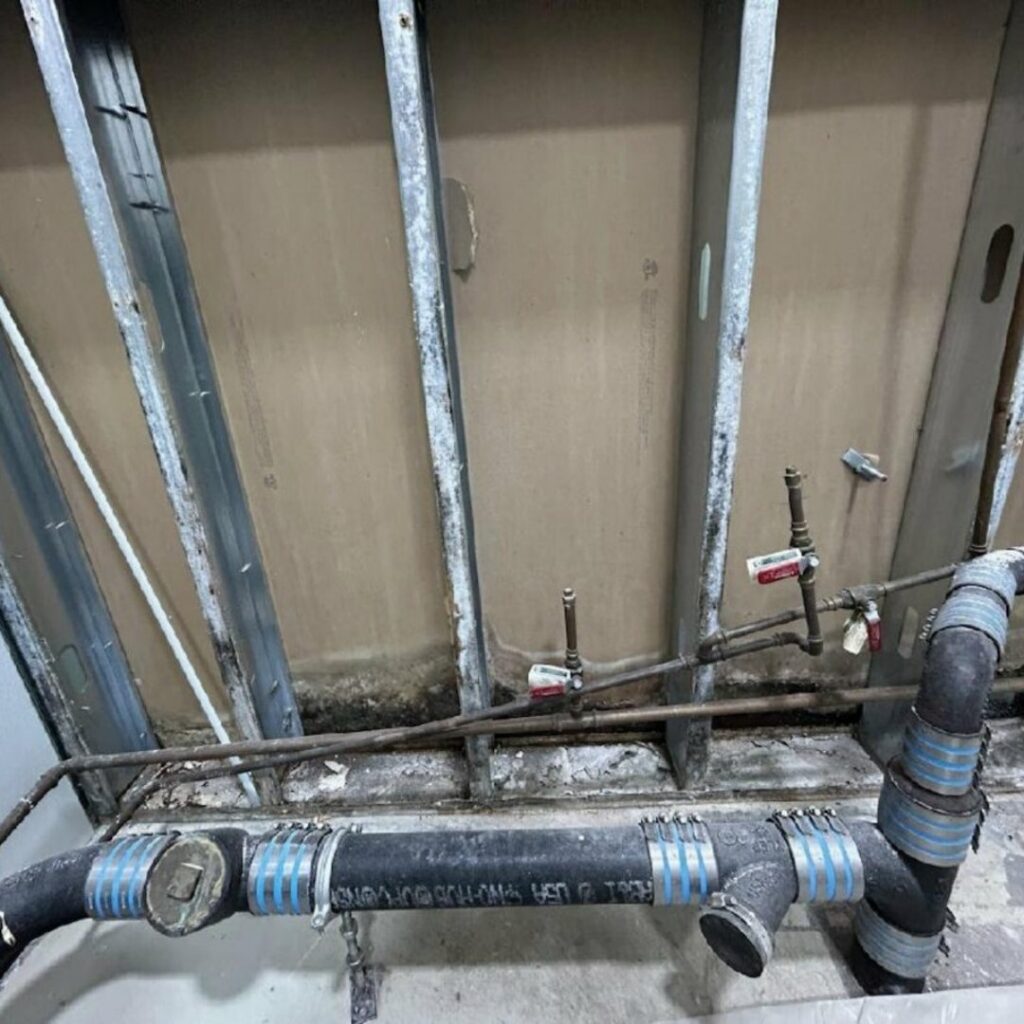 Mold Remediation in New Bedford, MA