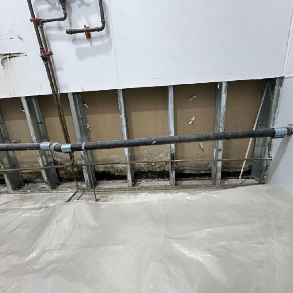 Mold Remediation in New Bedford, MA